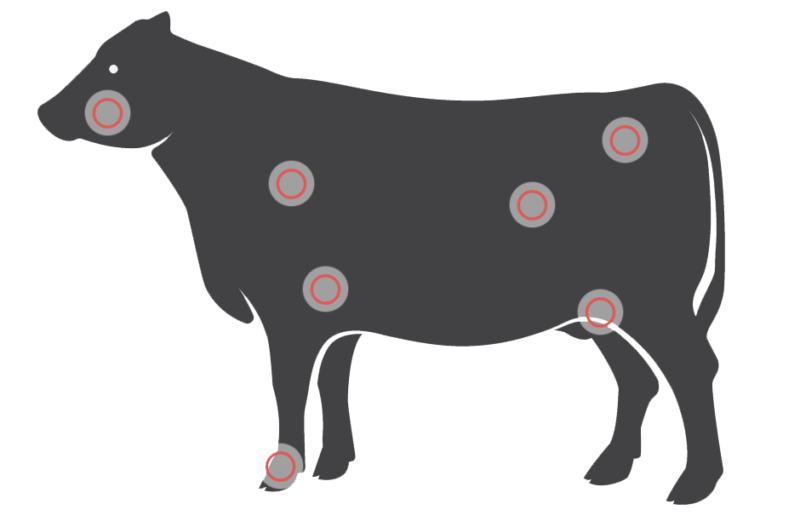 SmartLic – New Generation Supplements