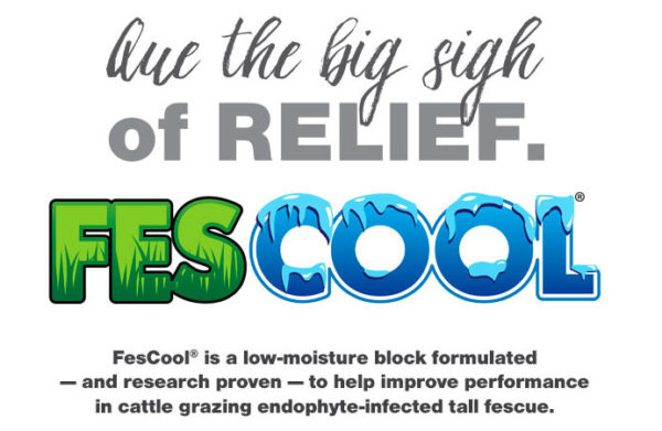 SmartLic – New Generation Supplements