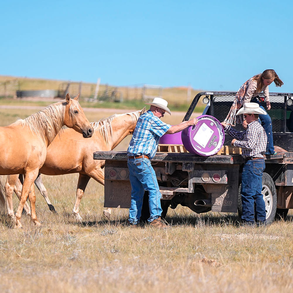 Fall and Winter Supplementation for Horses - New Generation Supplements